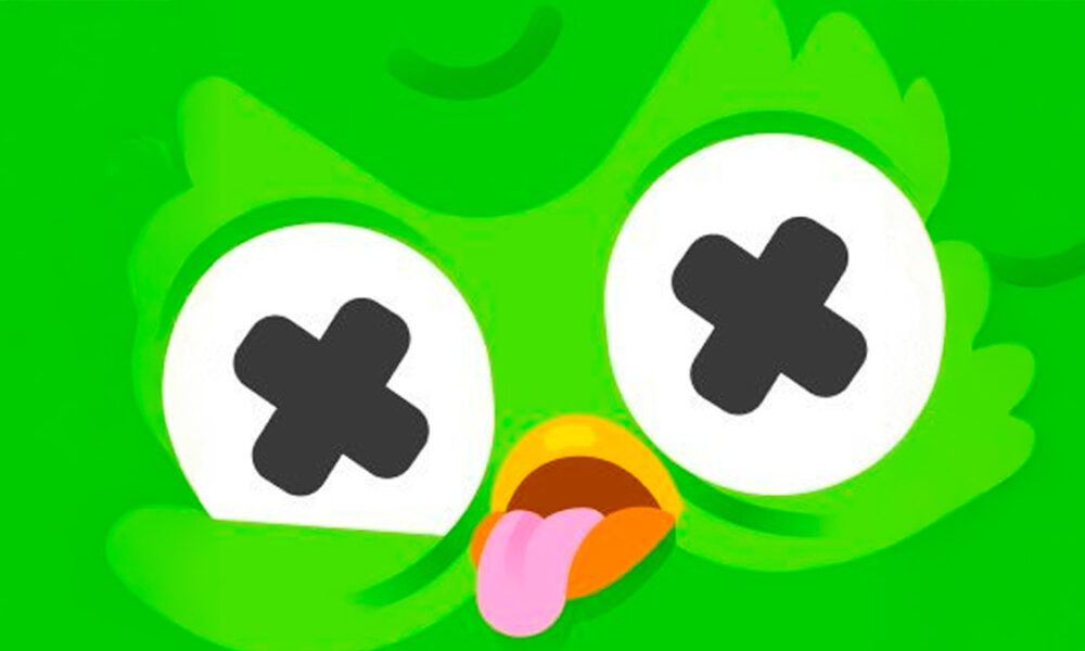 ¿Qué pasó con Duo? Duolingo revela la trágica noticia